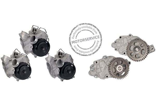 MS Motorservice tem gama completa de “bombas” para motores Daimler ...